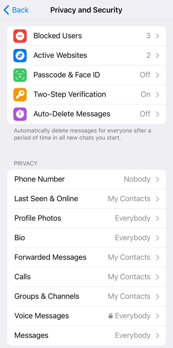 Ultimate 2024 Guide to Telegram Settings for Android and iOS